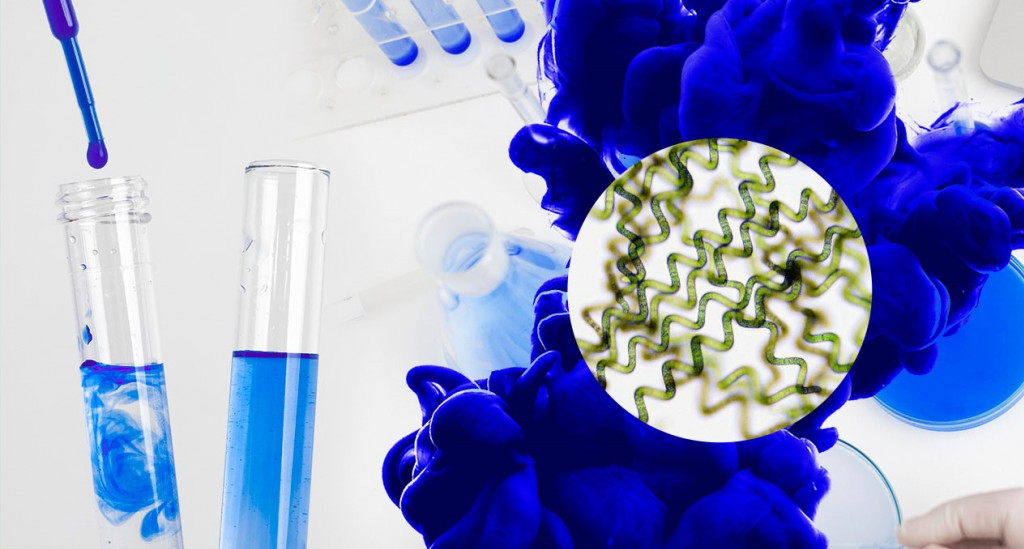 Phycocyanin : sleep and physical recovery